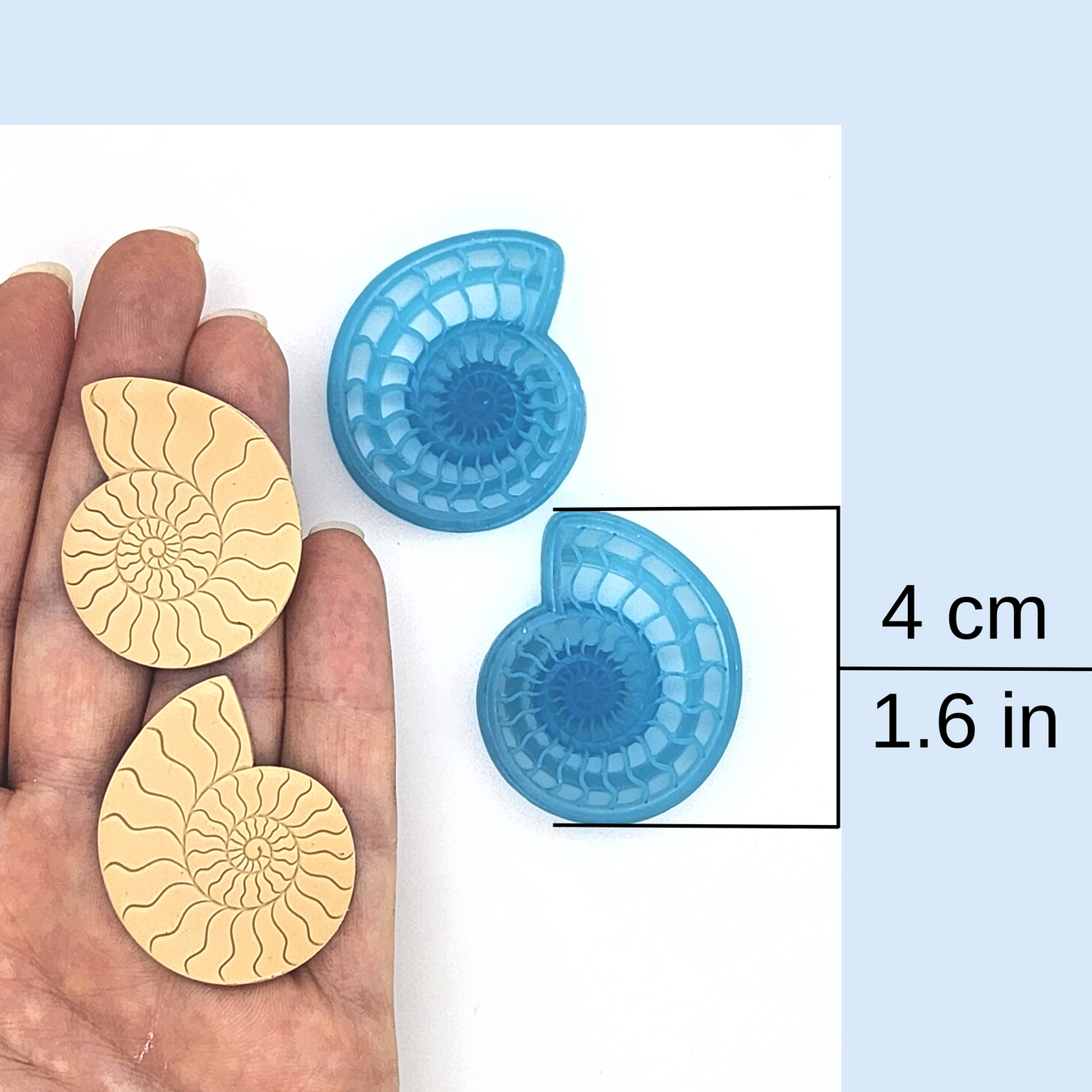 Ammonite Shell Polymer Clay Cutters | Sharp, Clean, Precise – The Clay ...
